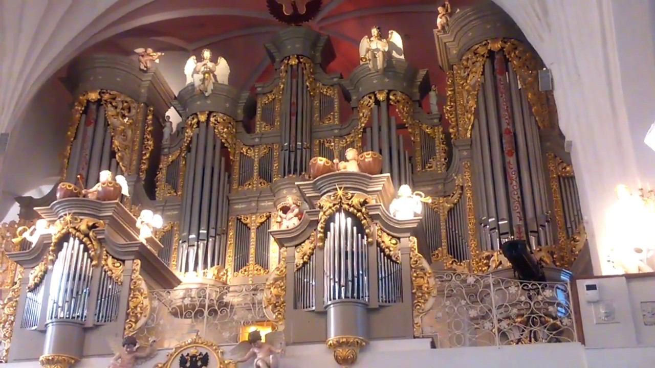 Калининград Кафедральный собор, звучит ОРГАН ,Октябрь 2018