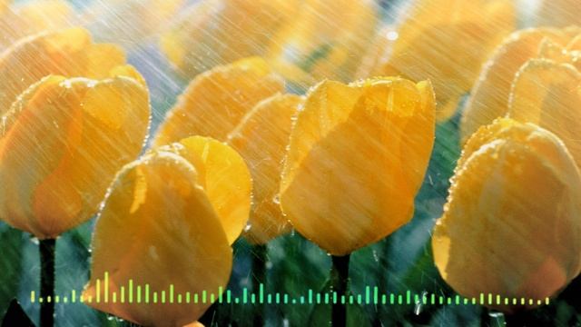 Звуки дождя | Звуки природы