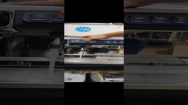 Проверка кофемашины Nuova Simonelli Appia Life 2 Gr V в сервисе Chef Point