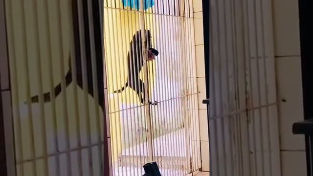 Побег.