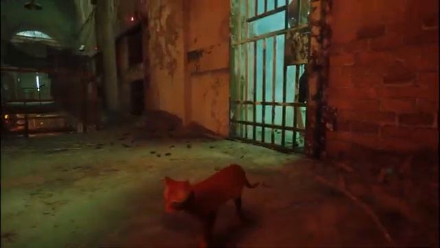 Stray№7