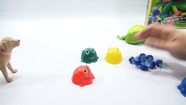 Fool The Frog Catch The Fly In The Blink Of An Eye Family Kids Game ...