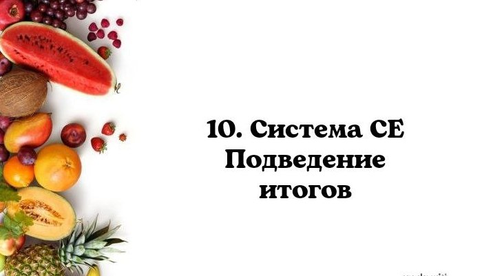 10. Система СЕ. Подведение итогов