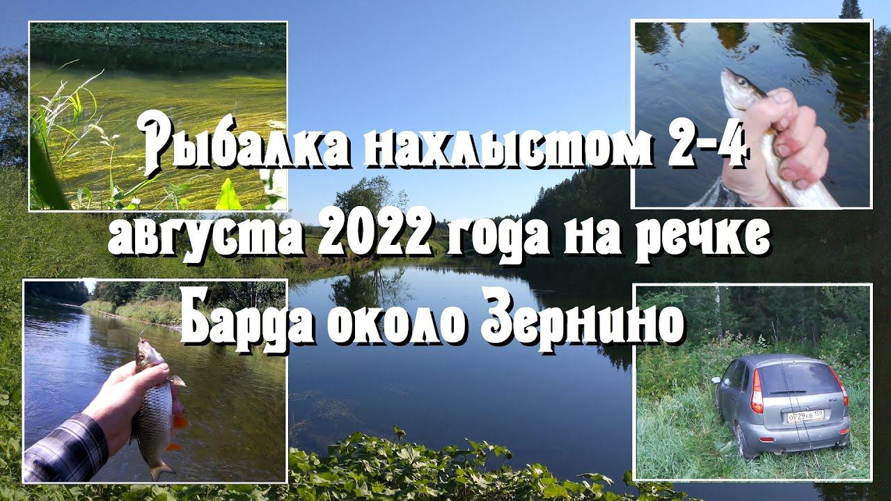 Рыбалка нахлыстом 2-4 августа 2022 года на речке Барда около Зернино