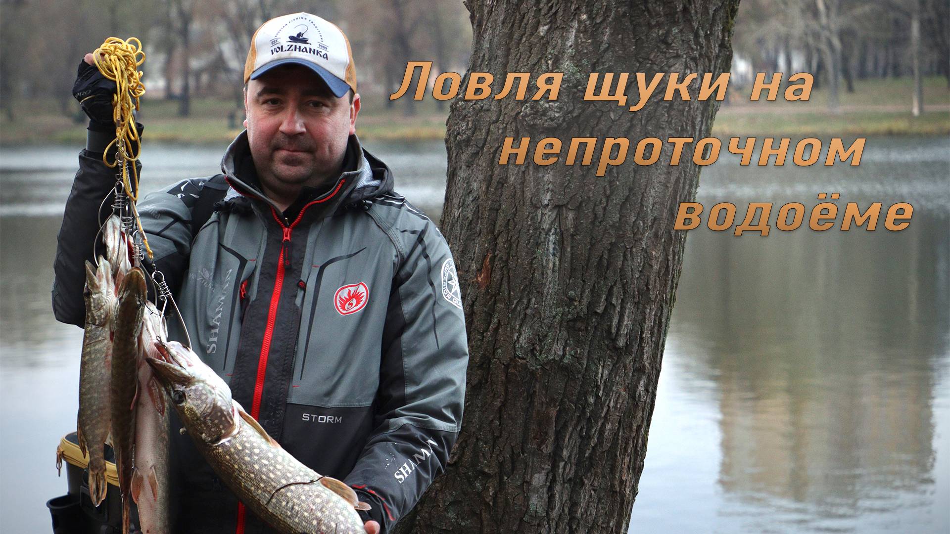 Ловля щуки на непроточном водоёме