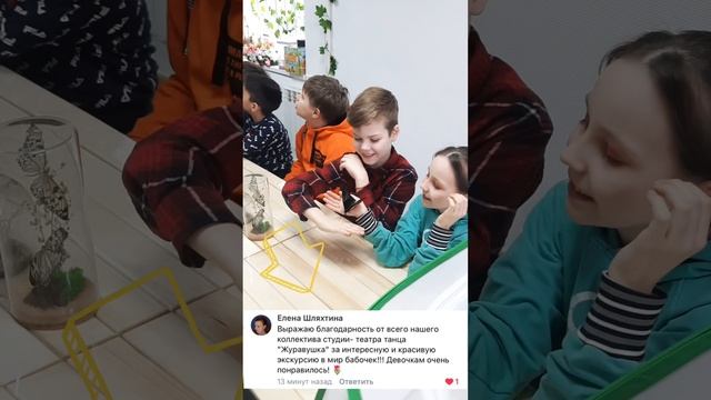 Дом бабочек Миасс отзывы