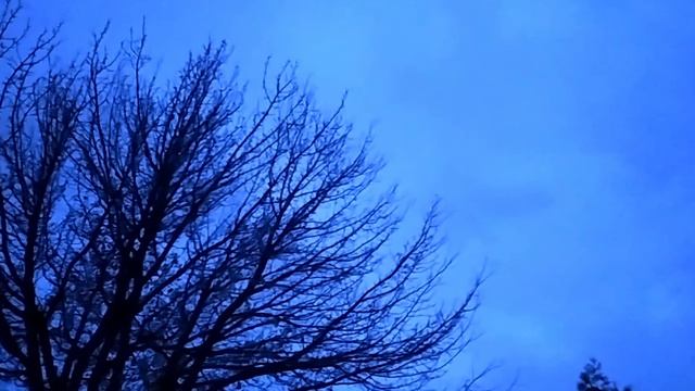 А может быть душа моя... Зинаида Миркина