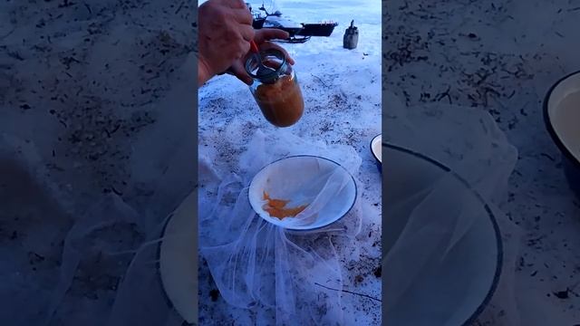 Щучья икра (о. Пяозеро, Карелия)