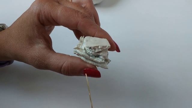 РЕШЕТЧАТАЯ КОСТЬ