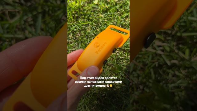 GPS-трекер Petsee Dogs c ярким силиконовым чехлом — чтобы Олли не терялся!