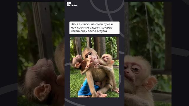 Я и мои горящие задачи после длительного отпуска 🔥