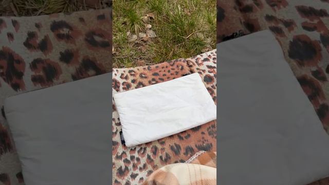 Обзор косметички на природе #природа