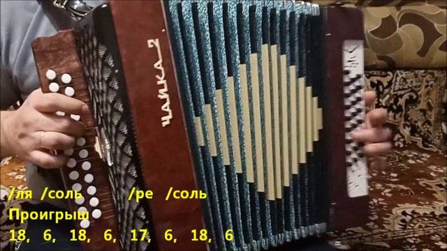 Белая ночь