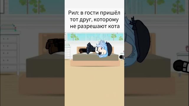 а у вас есть домашние животные?