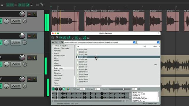 Choosing Loops in Context in REAPER