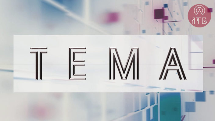 «Тема». Дополнительное образование