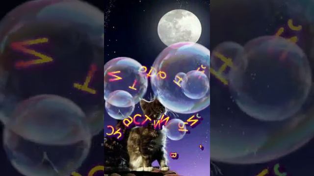 Спокойной ночки
