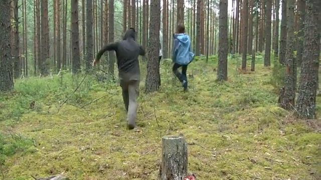 Лесное Трио. Лесное техно. Ремикс.