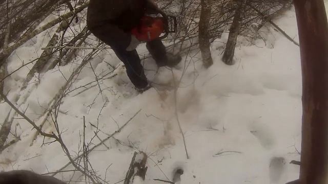 Хускварна 130 на валке берёзы и ольхи. Маленькая проф. пила.