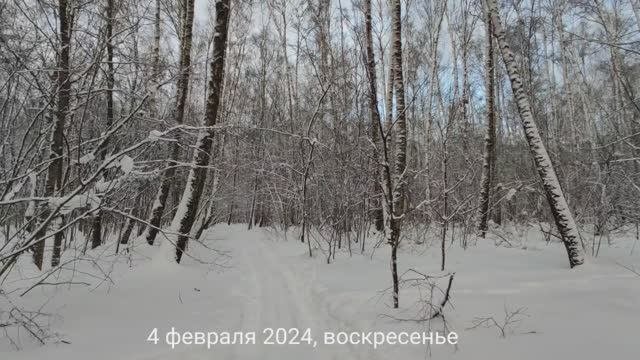 прогулка на лыжах по парку в Москве 4 февраля 2024 г