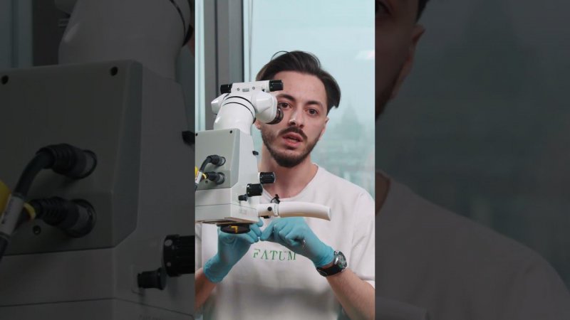 Особенности анатомии зуба 3.4 #dentist #доктор #zumax #stommarket #kerr #restart