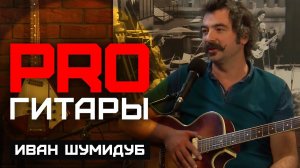 Иван Шумидуб // PRO Гитары // НАШЕ