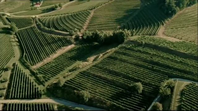 История напитка Жизни Olife