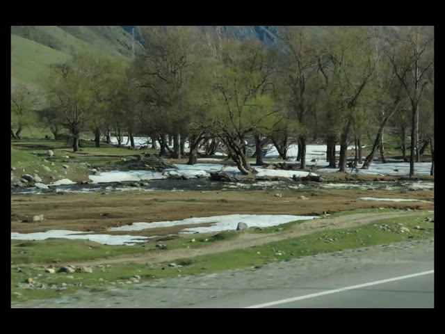 Горный Алтай Праздник маральника 9-12.05.2019