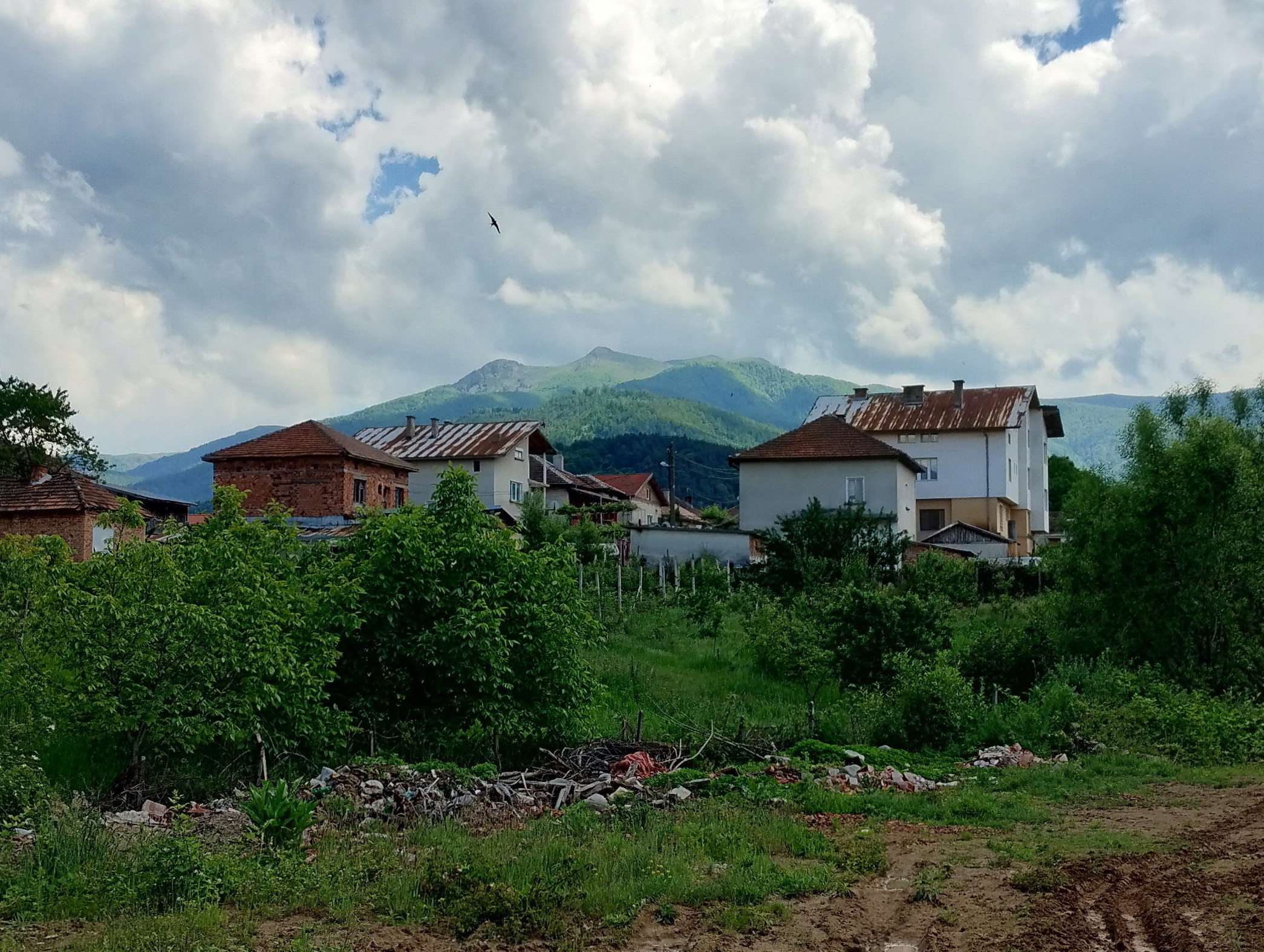 ПО СТЪПКИТЕ НА Г-Н ПЕТКОВ /част 51/. Бързия, община Берковица