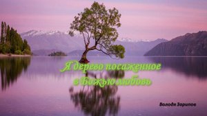 Я ДЕРЕВО ПОСАЖЕННОЕ В БОЖЬЮ ЛЮБОВЬ.mp4