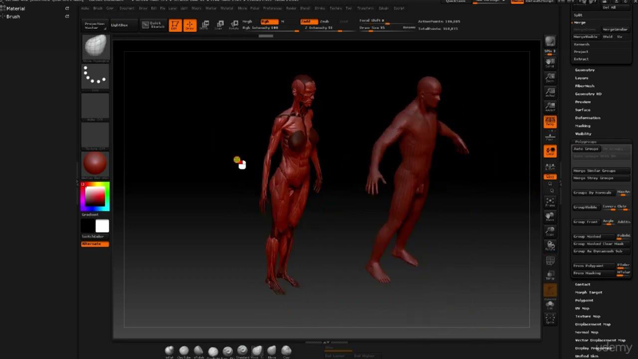 Anat Vol 01 03  Reference Tool
