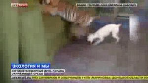 Лана Принц в гостях программы 'Экология и мы' на Life news
