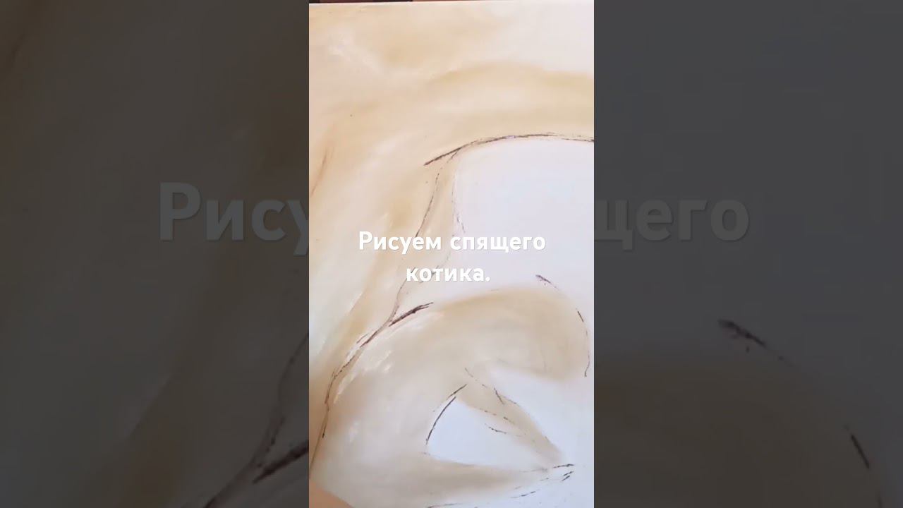 Рисую спящего котика