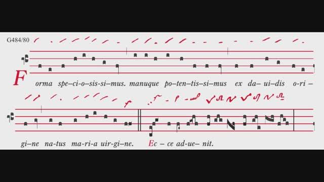 Forma speciosissimus ─ Ecce aduenit