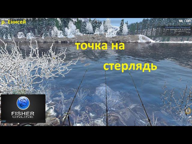 Fisher Online / точка на стерлядь, река Енисей