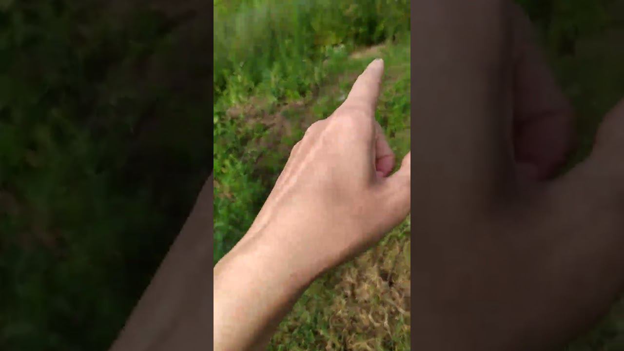 Суть метода. #Гениальный #умный #ленивый #естественный #огород Без перекопки, полива, без мульчи