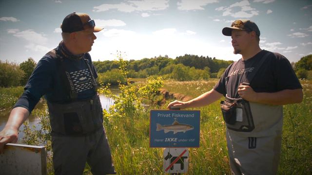 VIS OS DIT VAND - Laks, Bækørred og Regnbueørred, I Varde Å ...