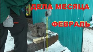 Дела месяца. Февраль в своем доме.