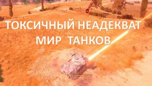 Самый токсичный неадекват Мира Танков с 64К боёв!  А в соцсетях также всё неадекватно или смешно?
