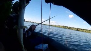 Щука в Миролюбово, Фатежский район Курской области