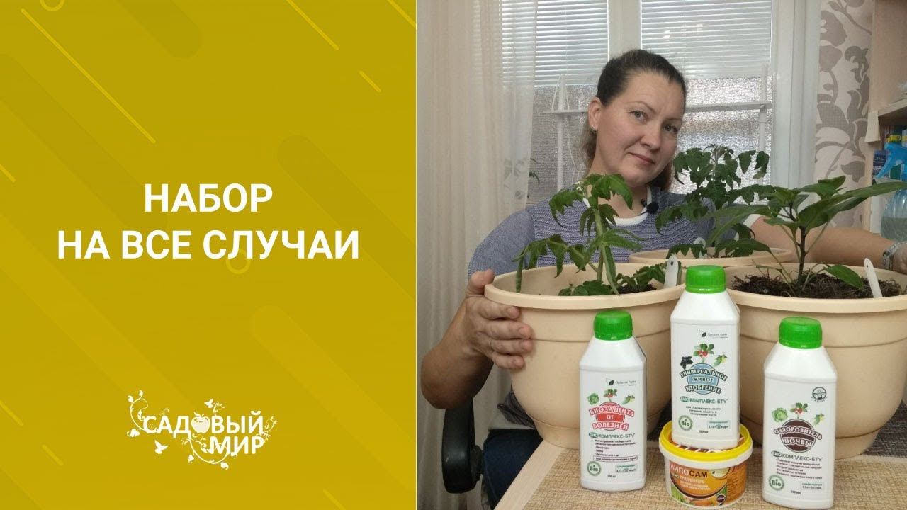 Огород на окне с Набором Экодачника! Урожай без химии