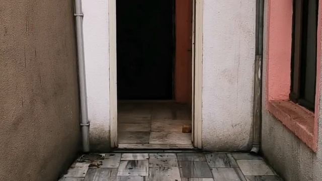 Вход в хамам через мужское отделение.mp4