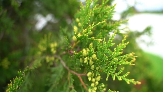 СЕМЕЙНЫЙ ОТЕЛЬ В ПОДМОСКОВЬЕ ДЛЯ ОТДЫХА С ДЕТЬМИ