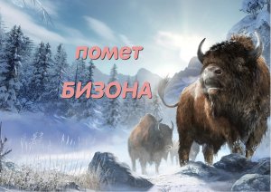 (помет Бизона)