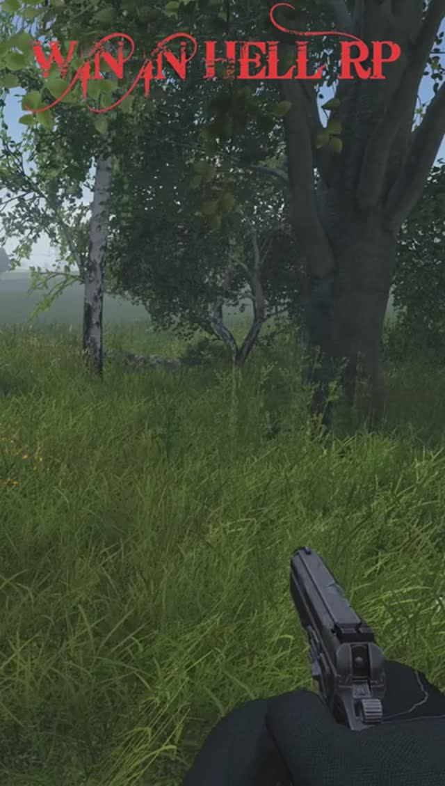 WIN IN HELL RP / DAYZ / ЖИЗНЬ ТАКОВА