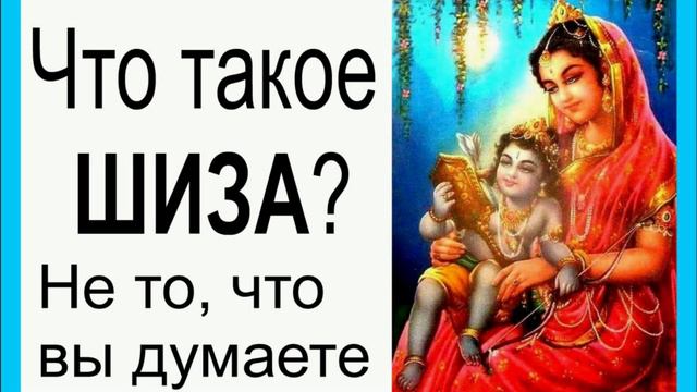 ШИЗА