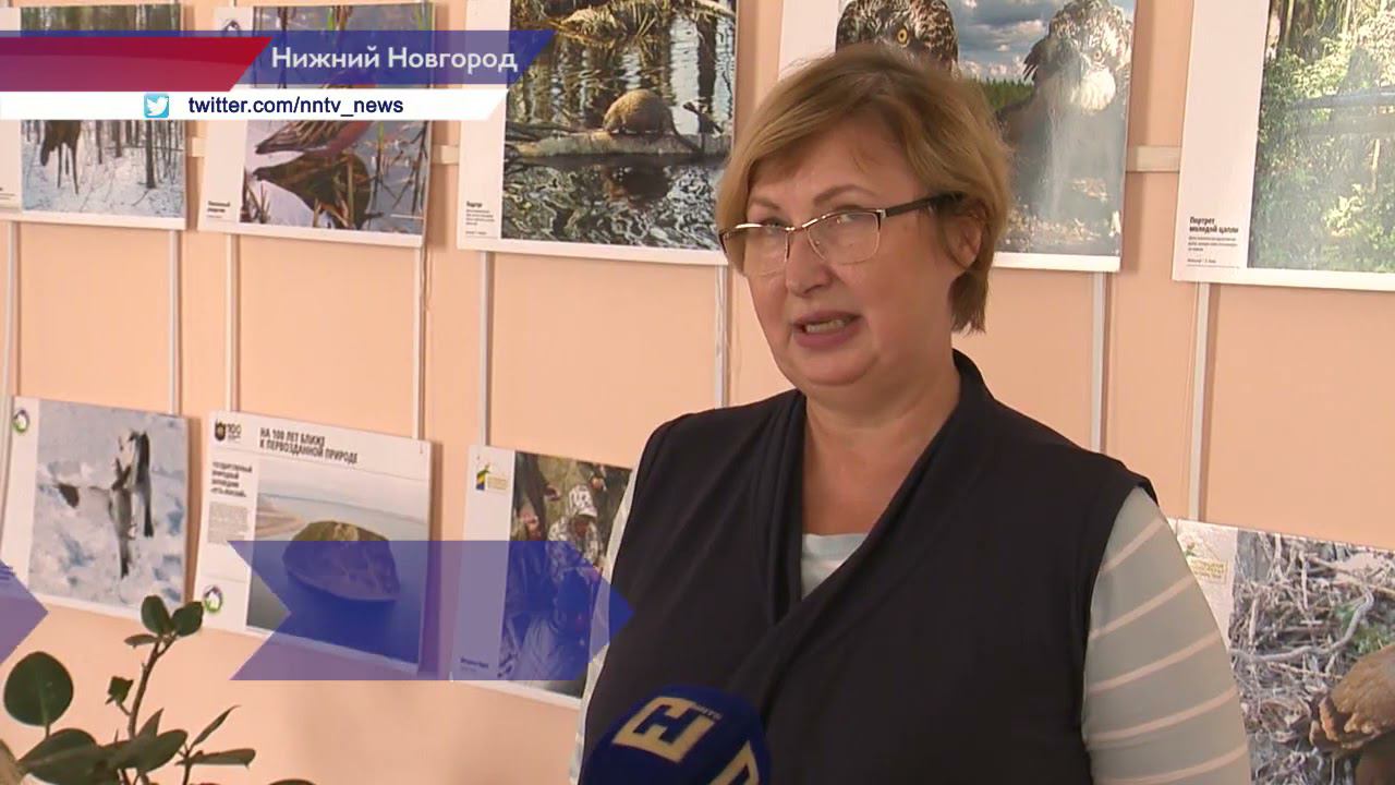 Победители конкурса «Моя инициатива» обсудили социально значимые проекты для Нижнего Новгорода