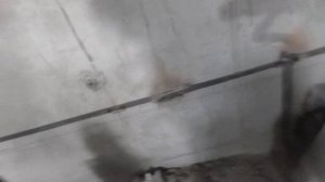 ЦОК. Экзамен (НОК) по квалификации ″Техник-электромеханик по лифтам″