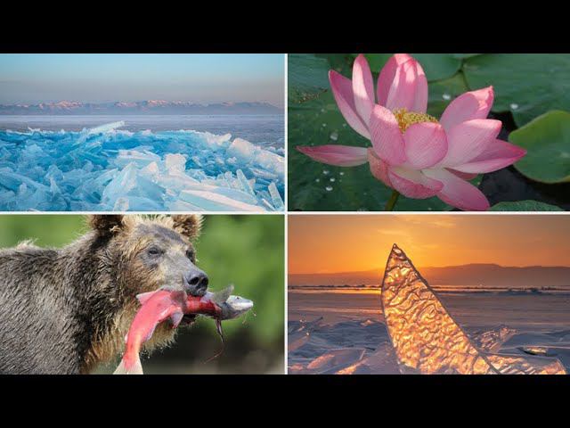 Лучшие туристические направления России