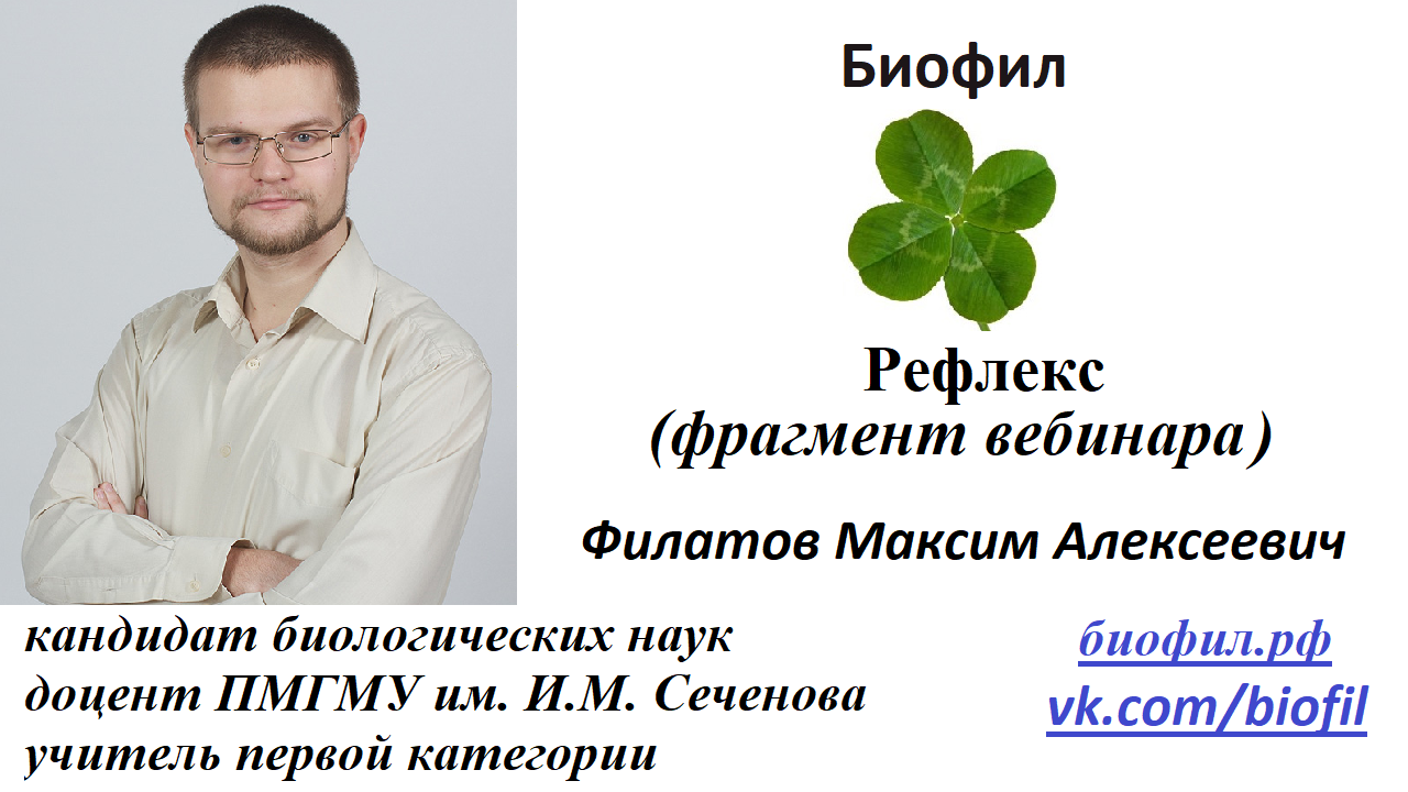 Рефлексы || Биофил. Подготовка к ЕГЭ, ОГЭ, ЦТ и ЕНТ по биологии.